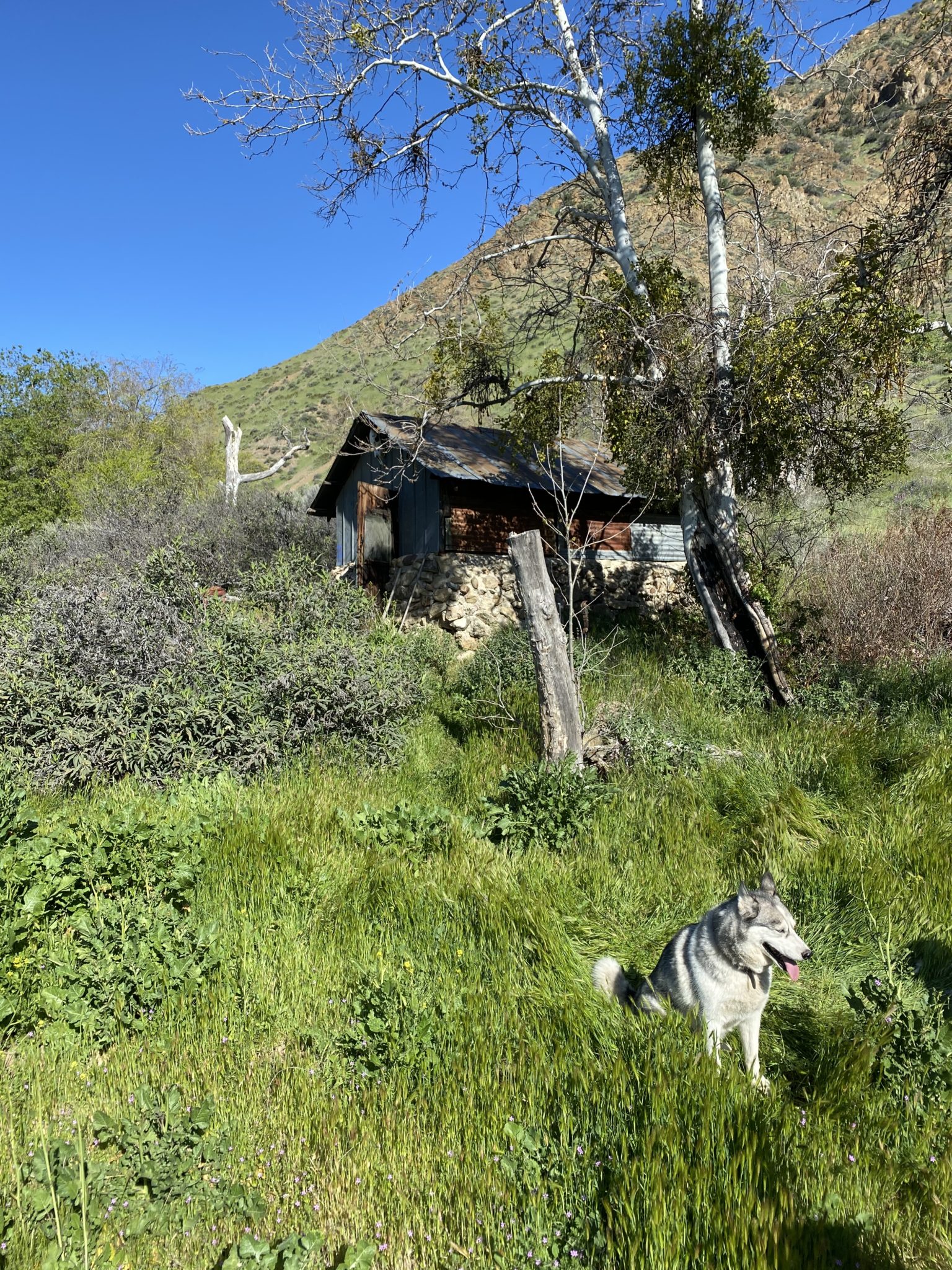 Day 2 To Sespe Hot Springs: Rattle Snakes, Big Horn Sheep and Sleeping ...